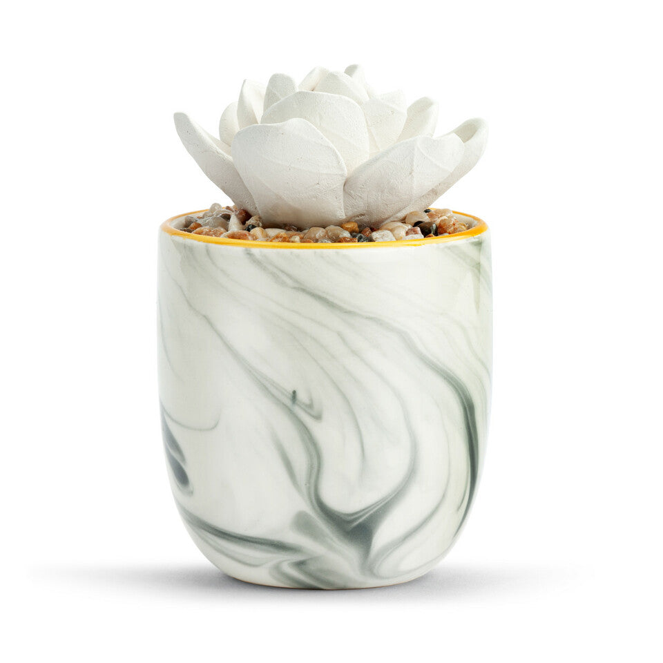 Creativity Succulent Diffuser – Peace by Piece Co.