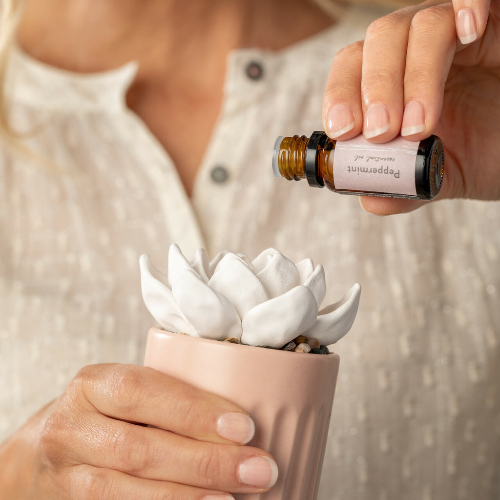 Just Because Succulent Diffuser – Peace by Piece Co.